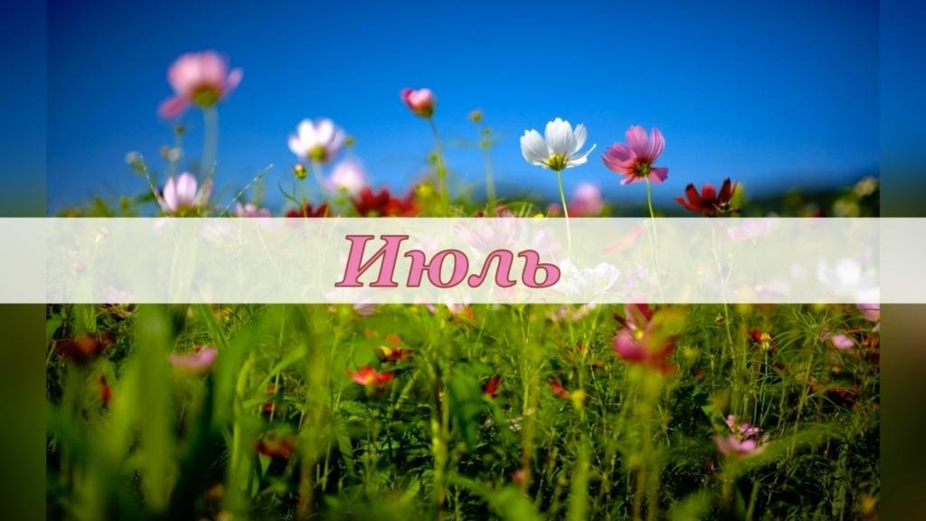 Перелистать стихами календарь. Июль.