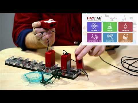 Семинар: цифровая лаборатория по физиологии. Описание и приёмы работы