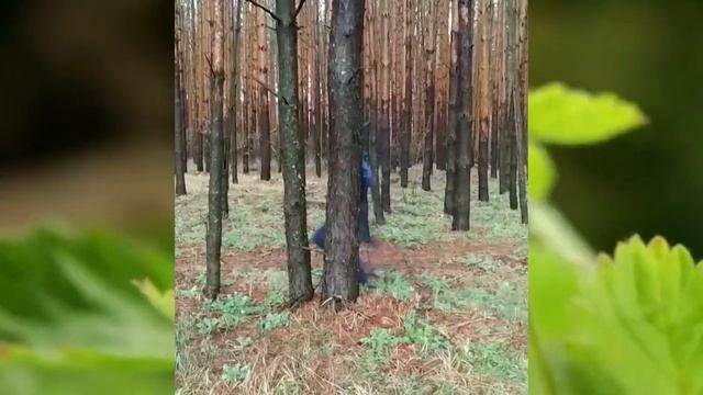 Утренняя зарядка с балетом!