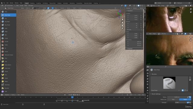 3.13. Skin and Ear Part 2