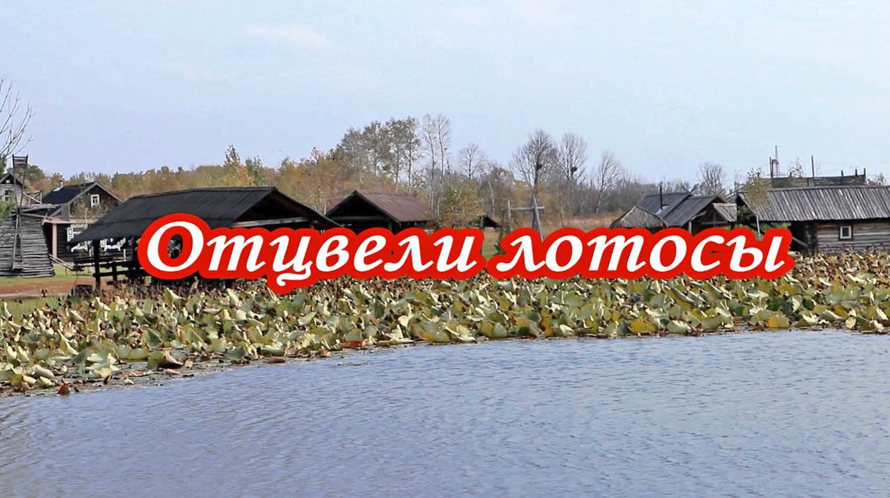 гаровка, парк.mp4