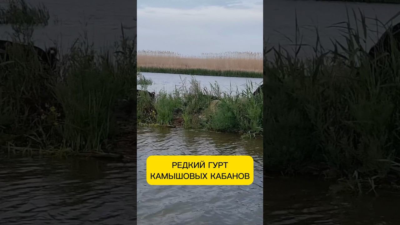 Отрывок из нового и большого видео! Переходи в профиль и смотри!