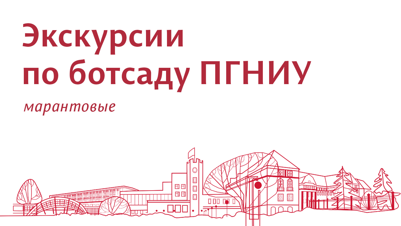 Экскурсии по Ботаническому саду ПГНИУ. Марантовые