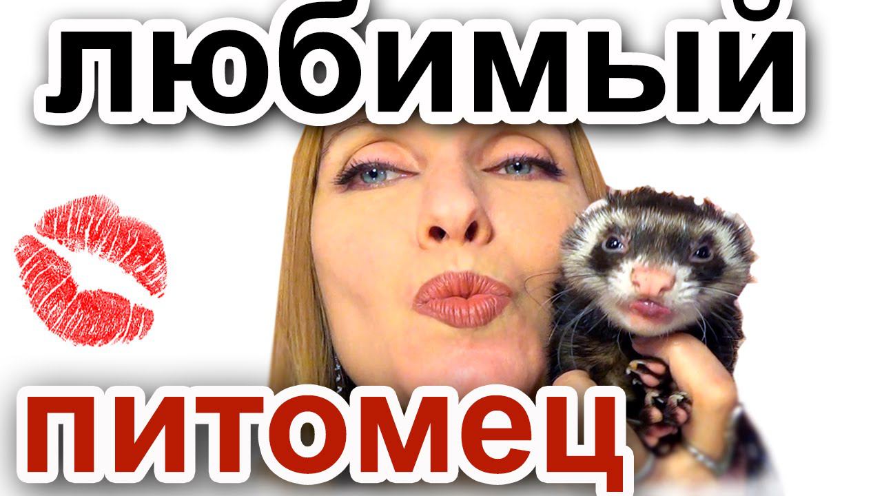 ♥СМЕШНЫЕ ЖИВОТНЫЕ♥