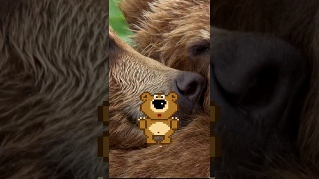 Мишкин стендап.Часть 2