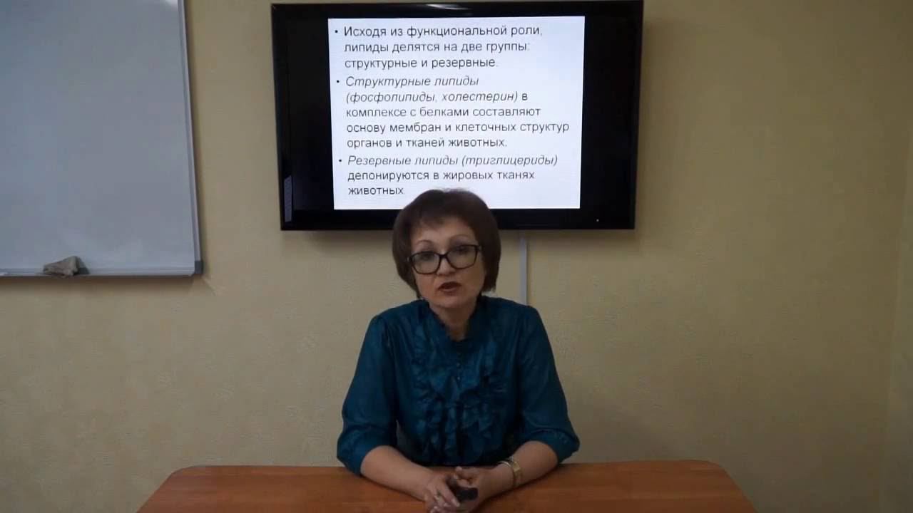 Козина Е.А. Липидная питательность кормов