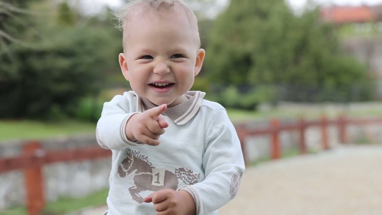 Занятие со школьниками «Мир домашних животных и уход за ними. Основы этологии»