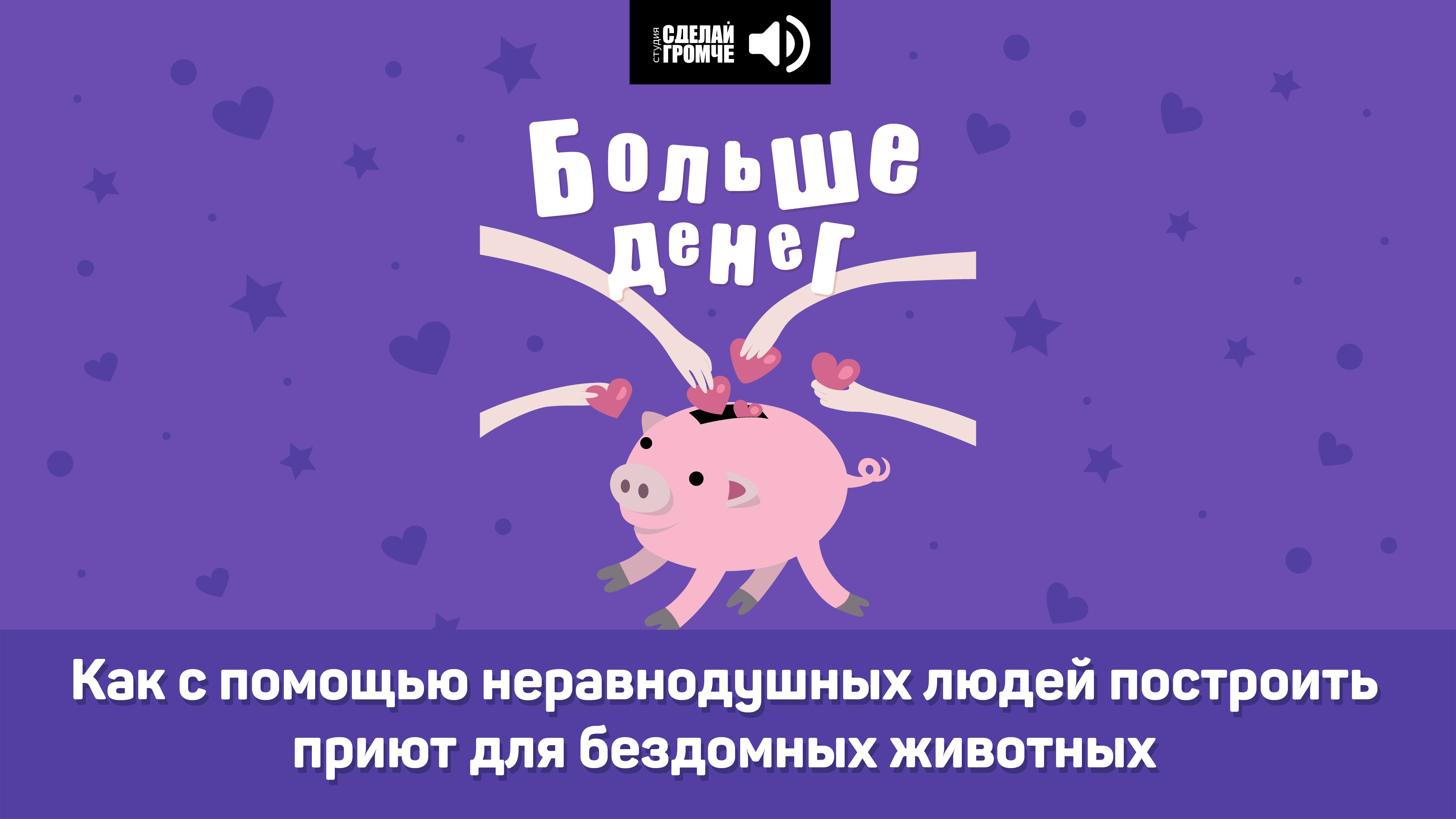 Как с помощью неравнодушных людей построить приют для бездомных животных #большеденег