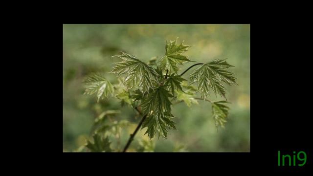 Лучшие по просмотрам Фото Лавровой Надежды