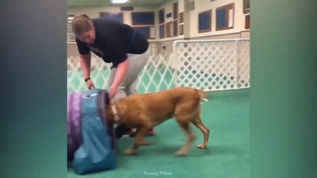 Топ приколы | Ржака | Смешные моменты из жизни