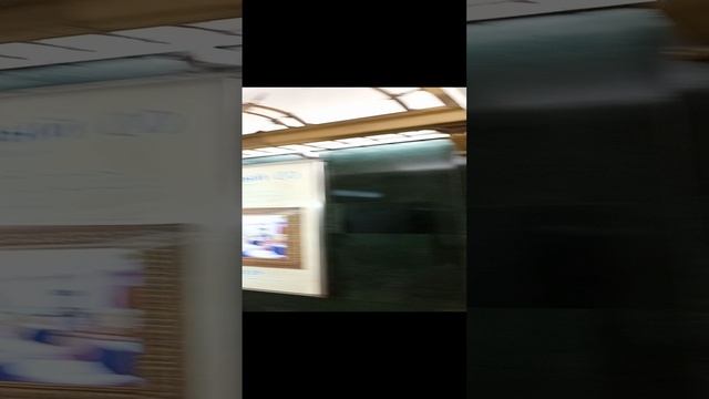 Типичный Питер , метро Звенигородская