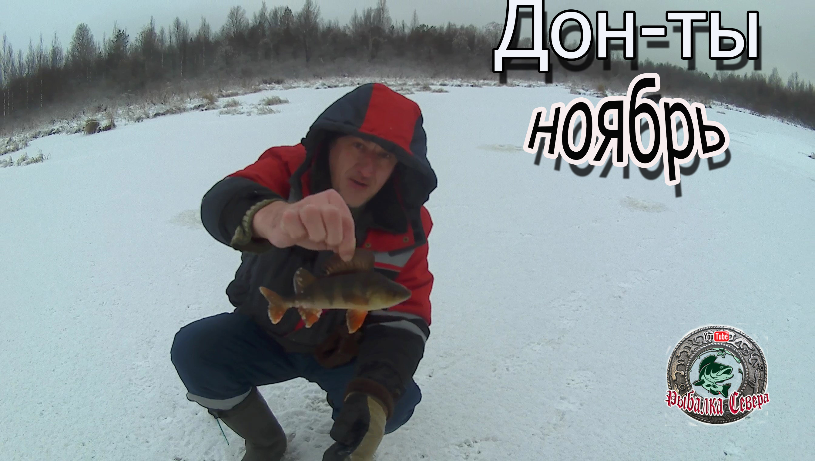 Дон-ты ноябрь. Куча окуня. Первый лед.