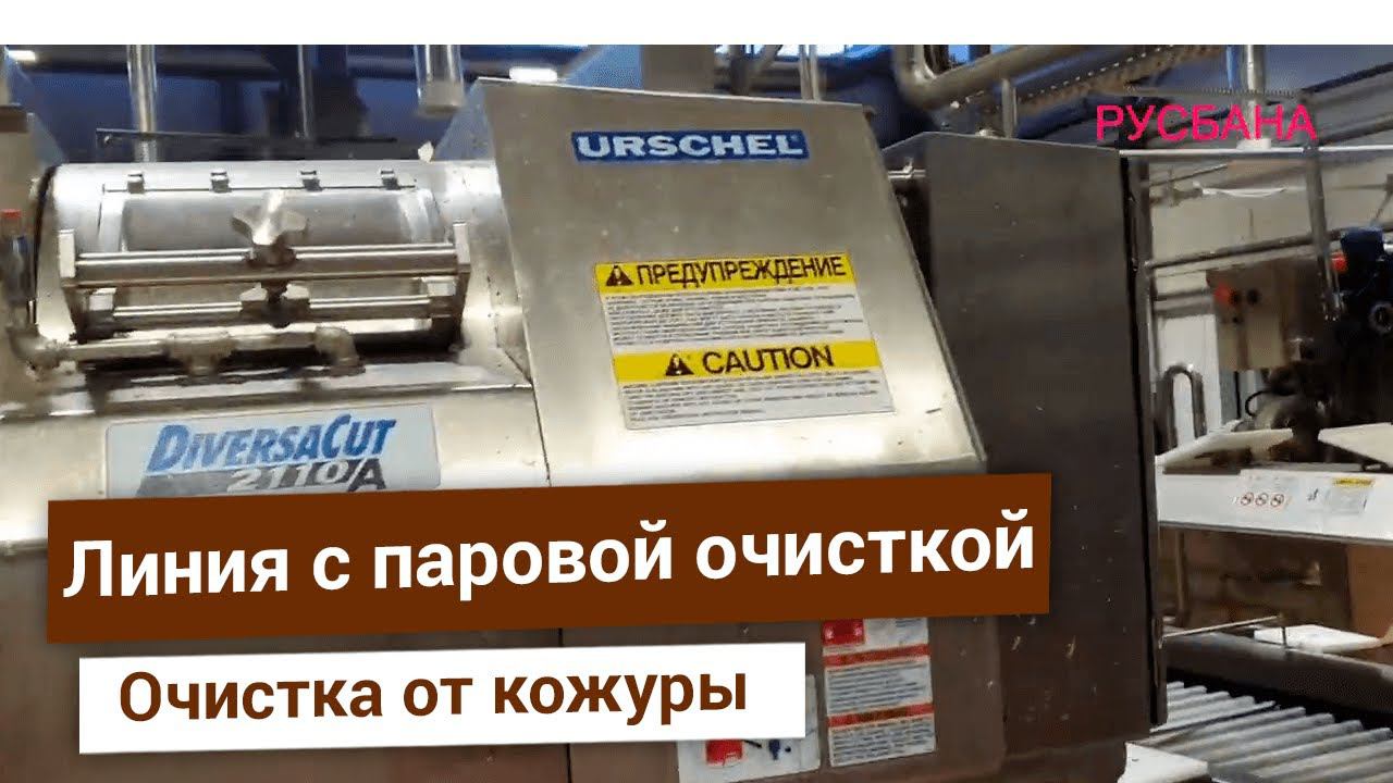 Линия с паровой очисткой. Подходит для  моркови, картофеля, яблок, тыквы, томатов, топинамбура