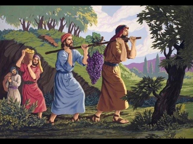 4.08 По страницам Библии - лекции доктора Мак Ги по книге Числа