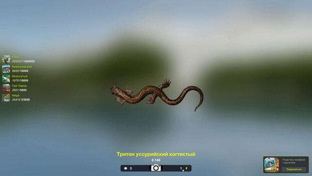 Тритоновый камыш в игре Трофейная рыбалка 2, локация Тай Чжень, река Амур