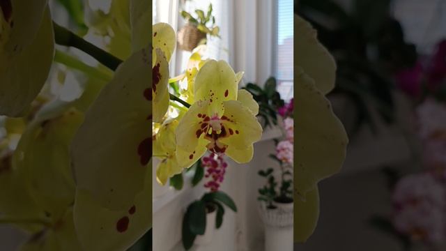 Красота и безмятежность 💕