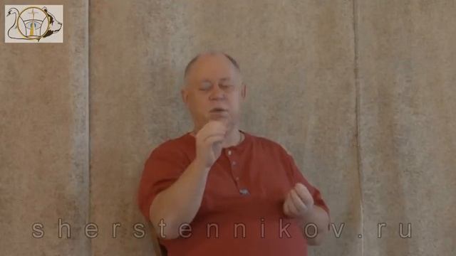 Шерстенников_ Шар внимания.mp4