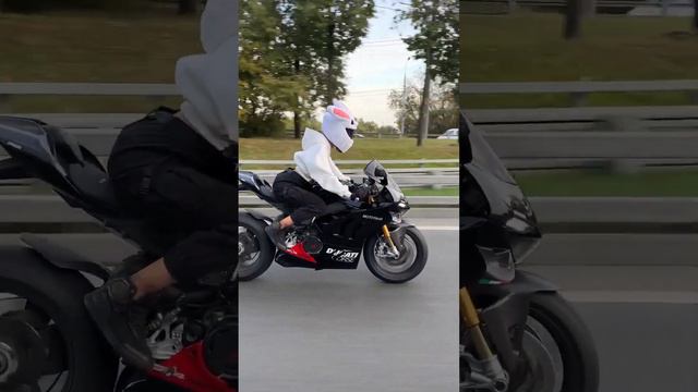 Без названия