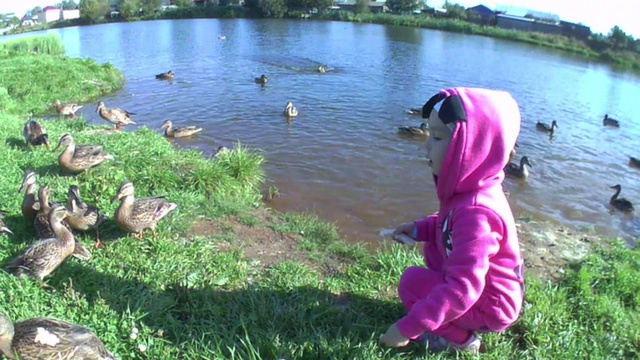 НАКОРМИТЬ 100 УТОК БАТОНОМ.