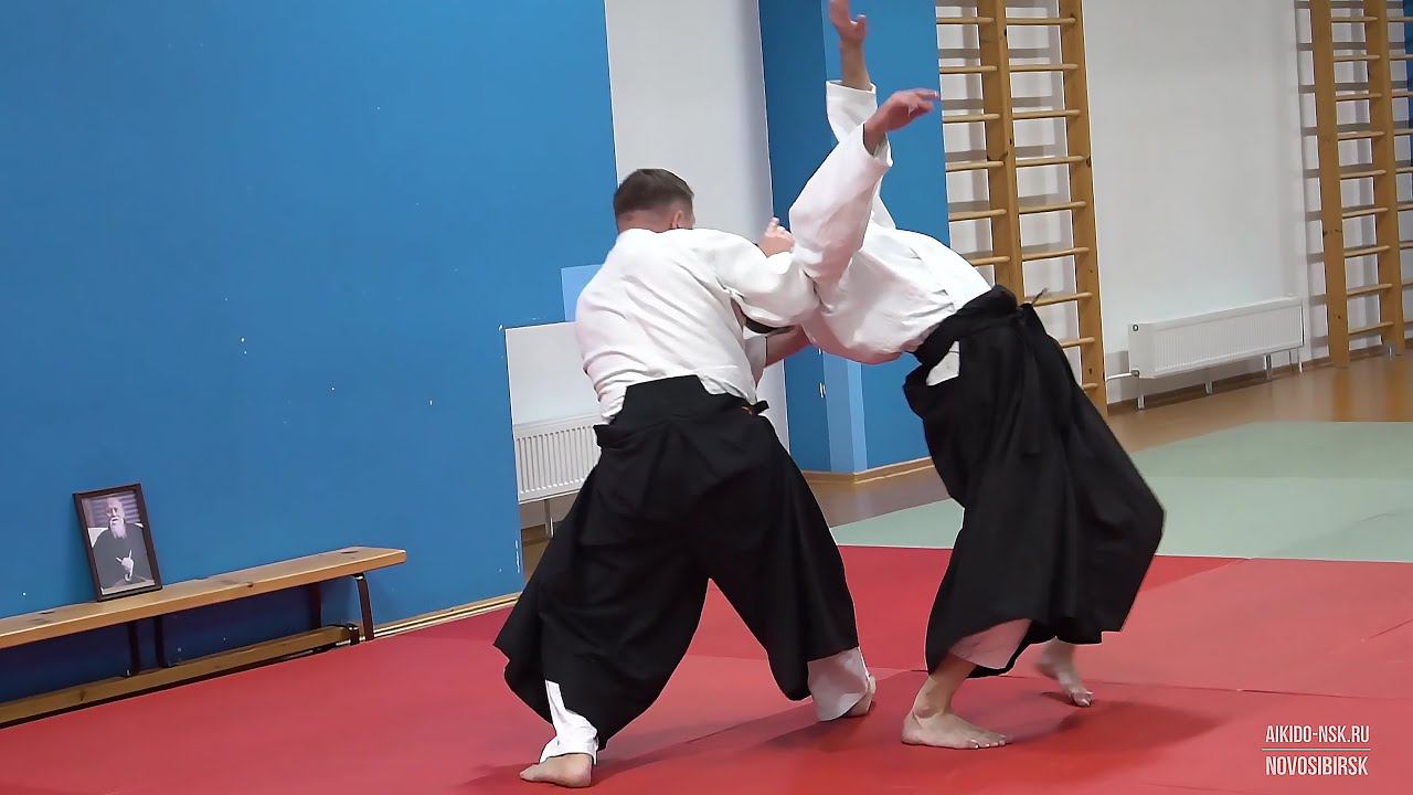 Айкидо - перемещения и входы.