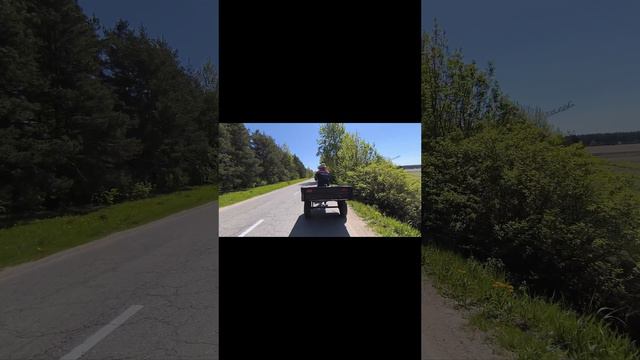 Догонялки - 2 $shorts