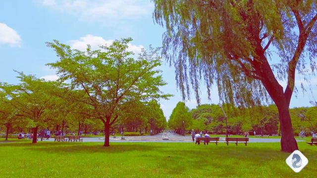 #ЖизньЗаслуживает #Видеоklass#ЖаннаДаценко#МедолияКрасоты#КрасотаПрироды#КраскиЖизни#