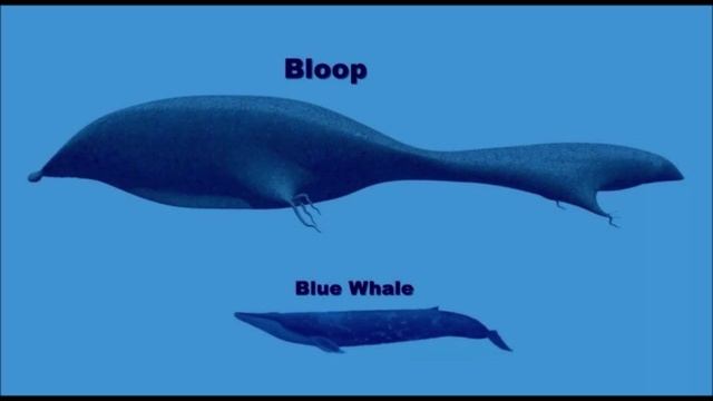 Блуп. Неизученный гигант мирового океана или природное явление.
