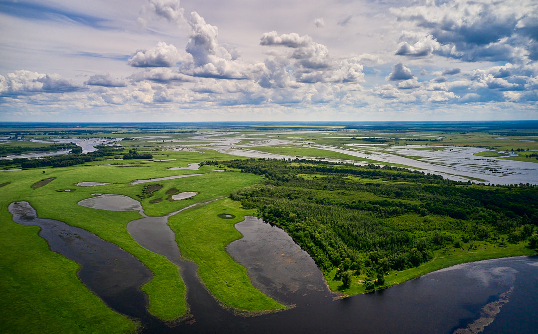 Поволжье. Река Иргиз. 19.06.2022г. 2-я серия. ВИДЕО 4К.
