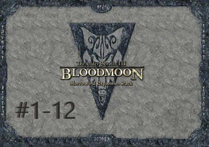 TESIII Bloodmoon #1-12 Пропавшее грузовое судно (Воронья Скала).mp4