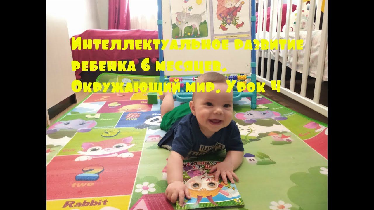 Интеллектуальное развитие ребенка 6 месяцев. Окружающий мир. Урок 4