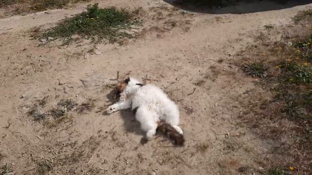 14 августа 2022 г.