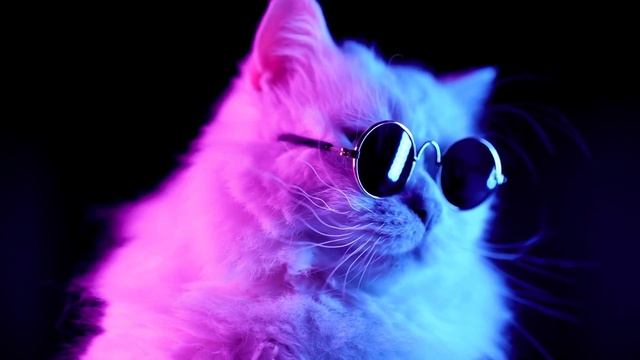 Aaron Smith   Dancin.