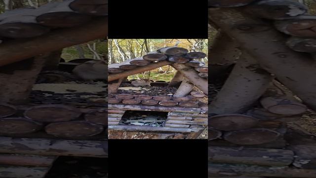 Нижневартовск парк ЯГОМ Бурундук 15.09.2024