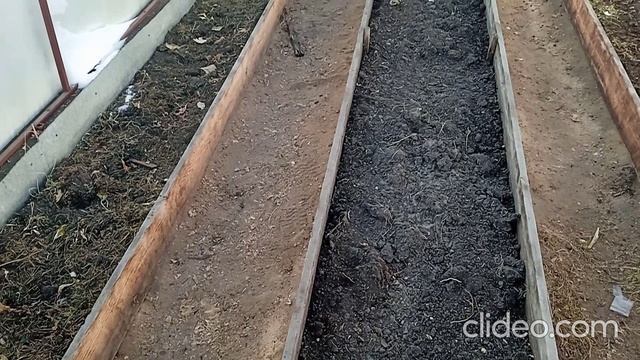 день Сурка 23 января 2022