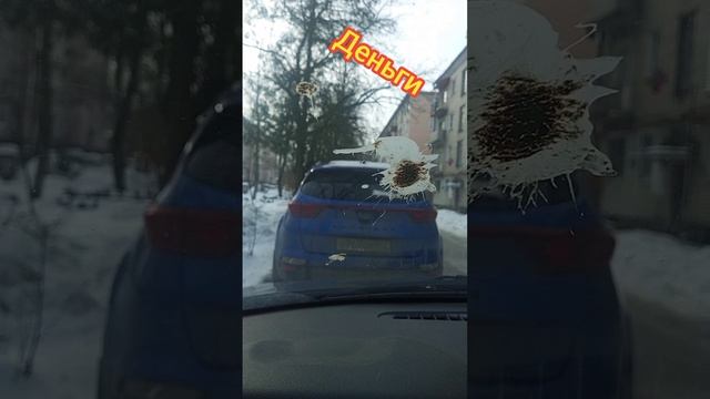 Теперь жду денег?