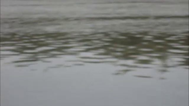 Рыбалка на Дону