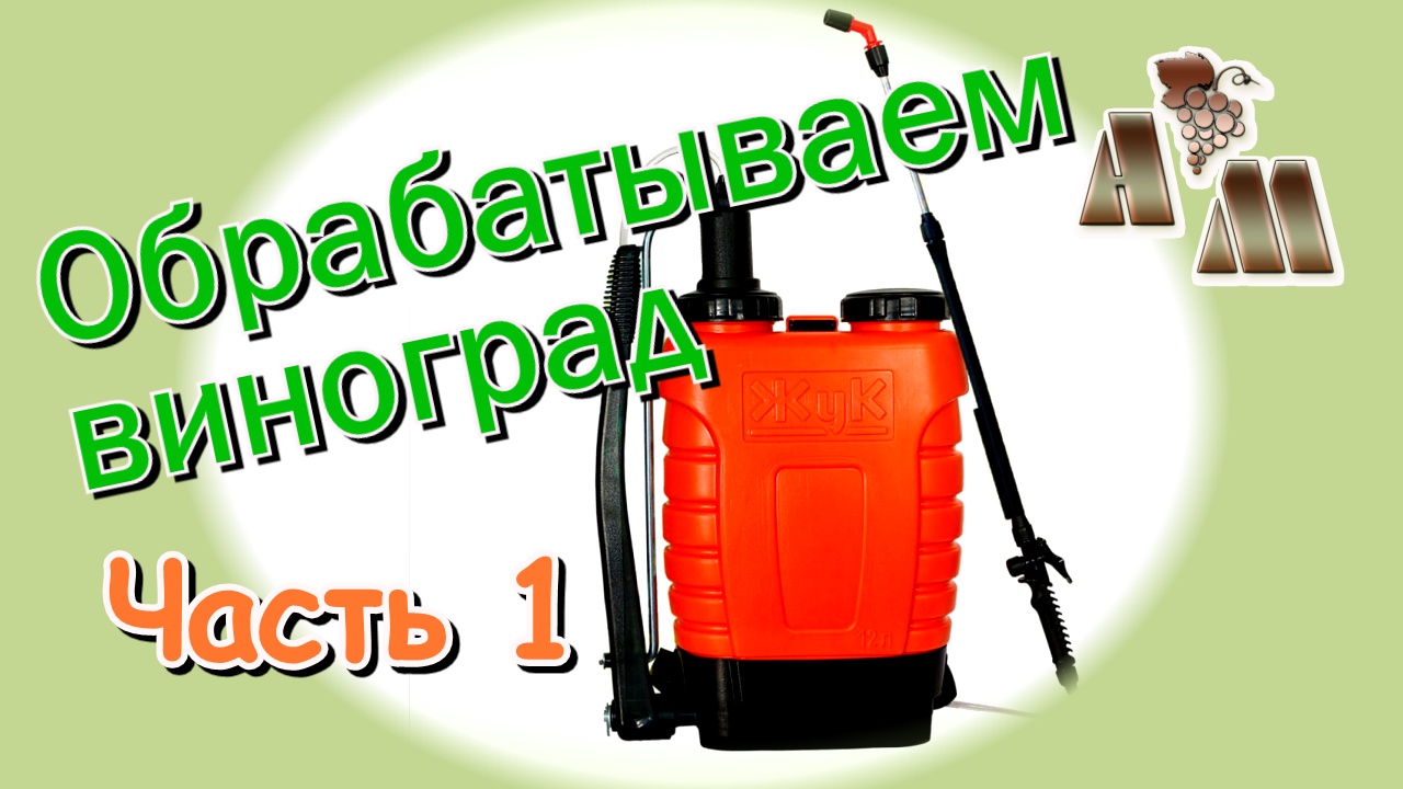 ? Обработка винограда от болезней баковой смесью. Часть 1