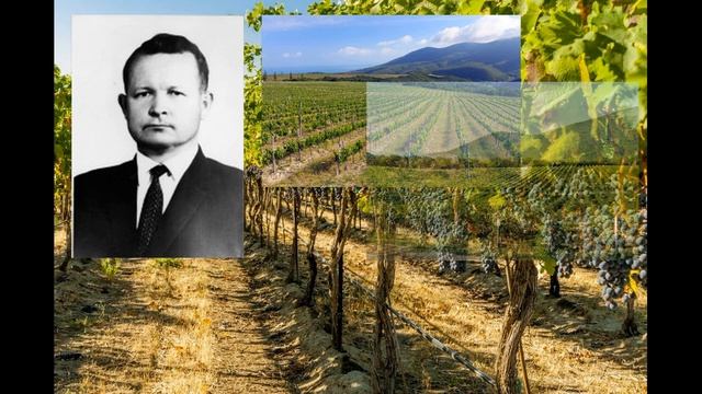 Стори-шеринг. И.П.Панкин.mp4