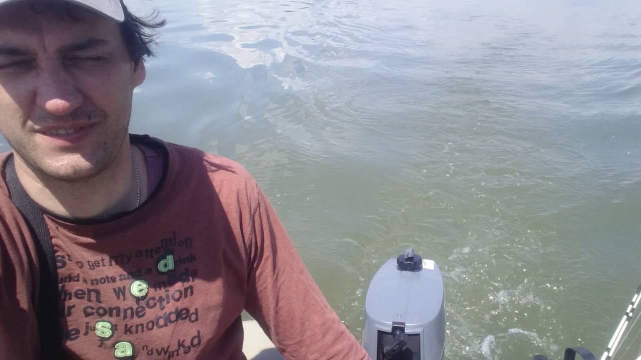 Дон, Елизаветинская, 5 июня 2016