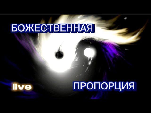 Божественная пропорция. Прямой эфир 28.11.2023