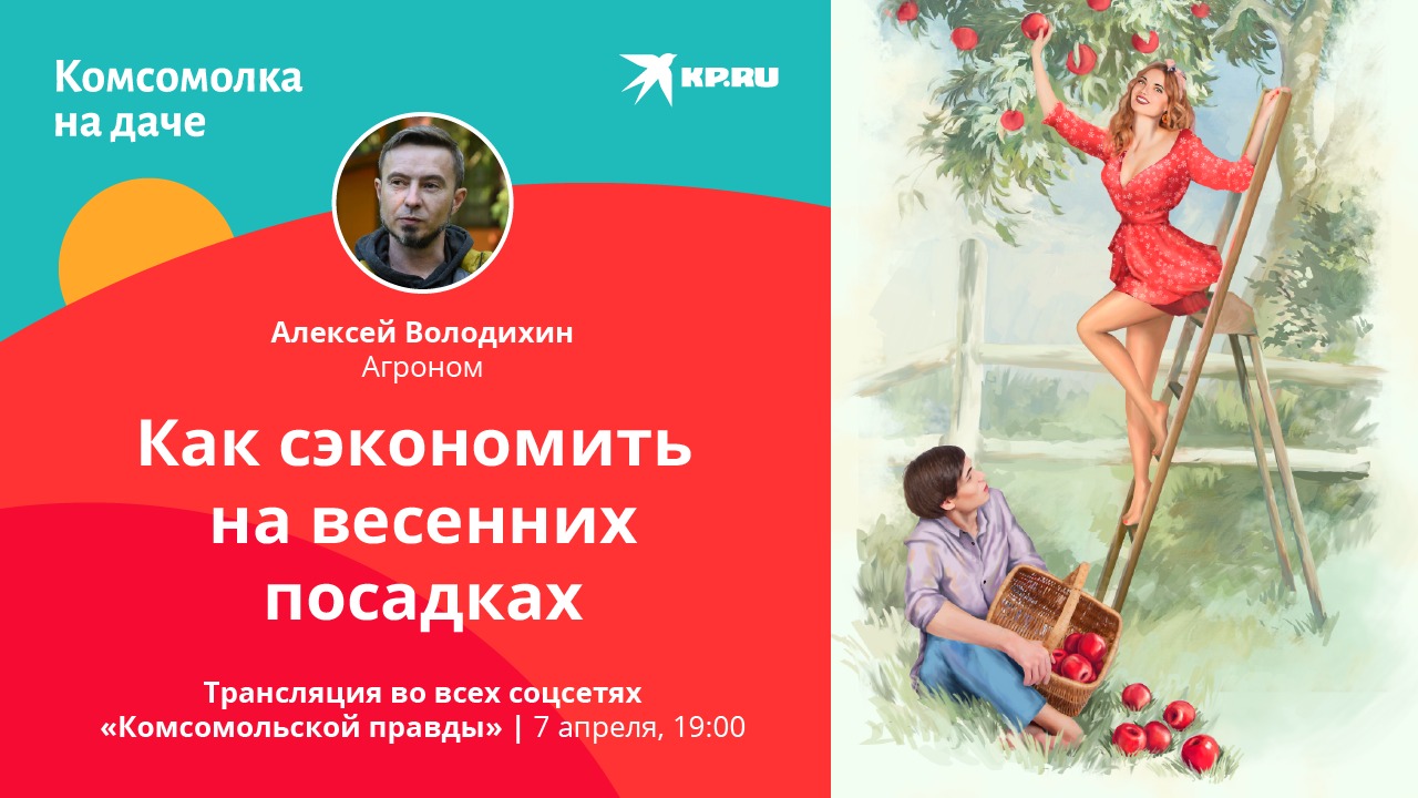Как сэкономить на весенних посадках: где раздобыть семена и саженцы с выгодой