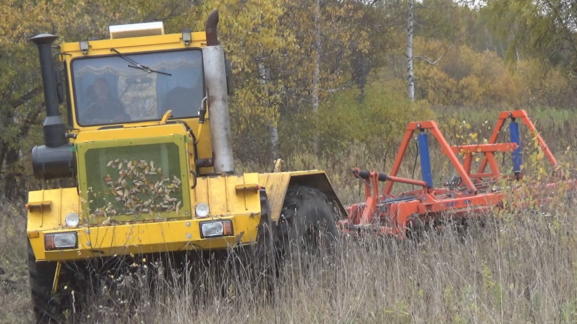 ДВА переделанных КИРОВЦА  корчуют заросшие поля агрегатами  БДТ-5ПР!