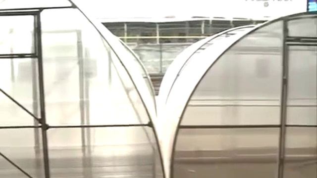 О компании ТД Мегаполис 2019 год