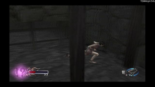 Tenchu Fatal Shadows #4 (PS2)