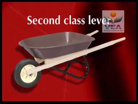 Biomechanics of the Body   Levers