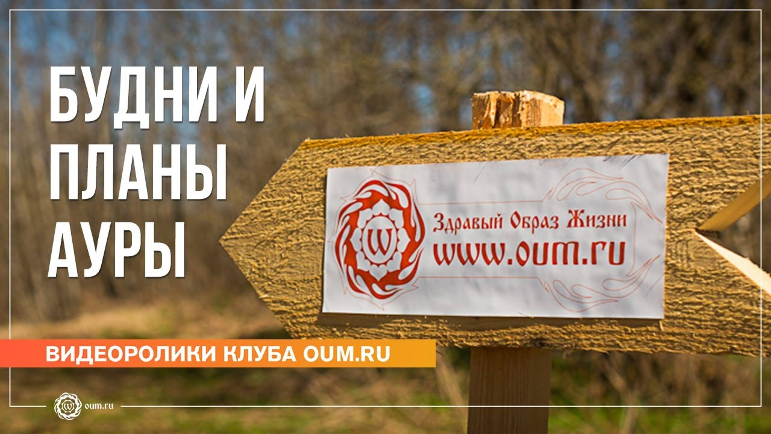 Будни и планы «Ауры»