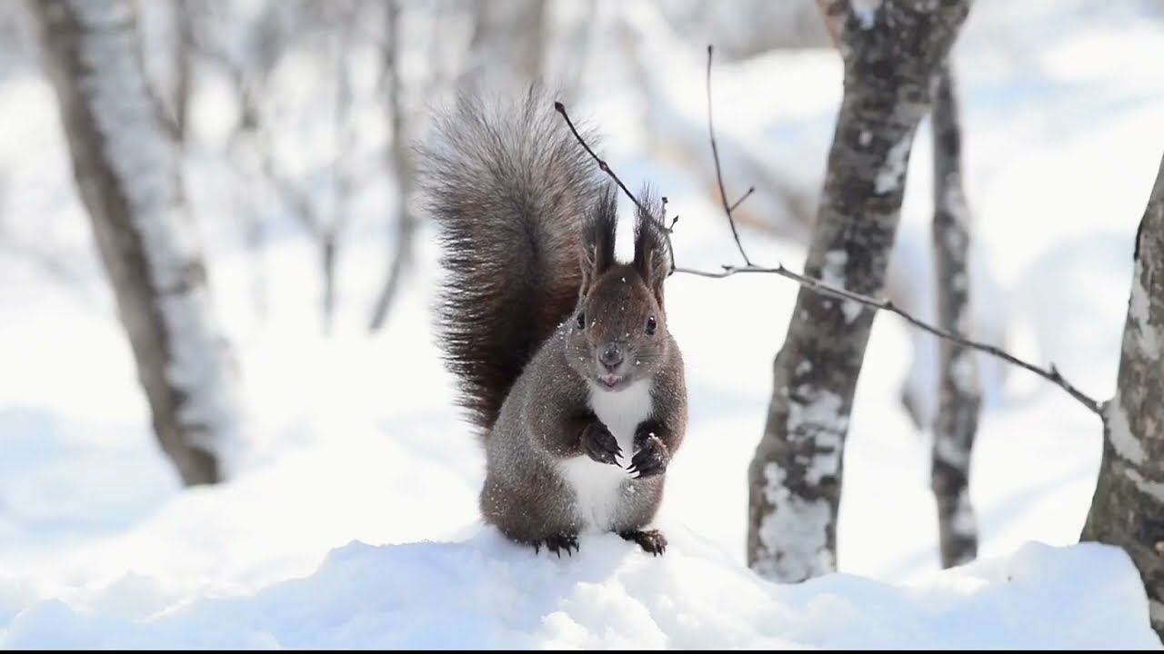 На Соколке хорошо!