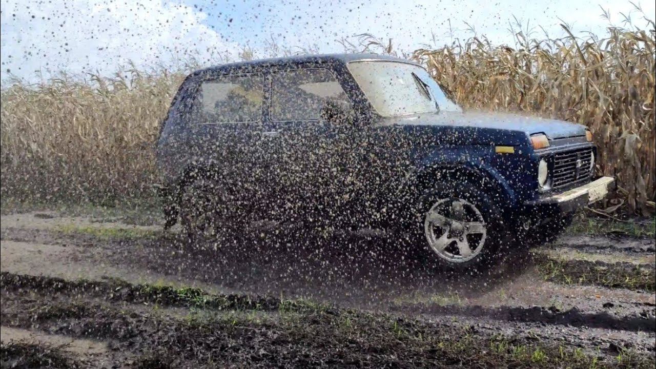 Сапсёрфинг или offroad? Мы не сдаёмся!