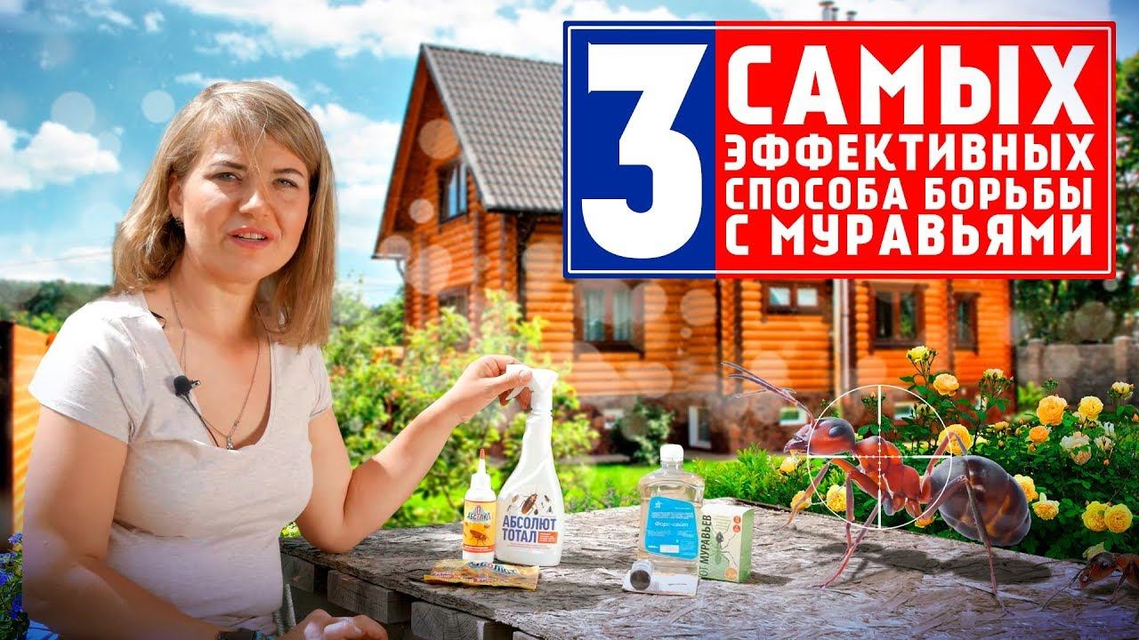 Как быстро избавиться от муравьев | 3 способа побороть муравьев | как бороться с муравьями. Часть 1