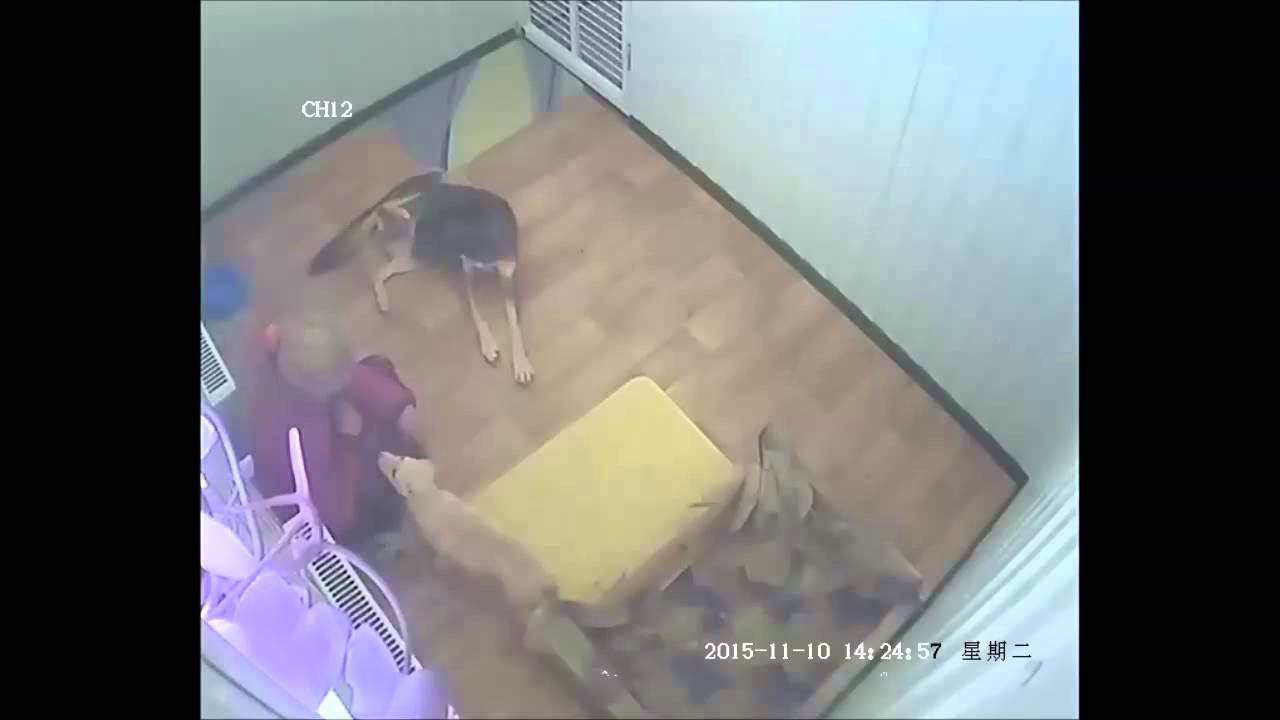 Важно правильно общаться и тогда ревность не возникнет.